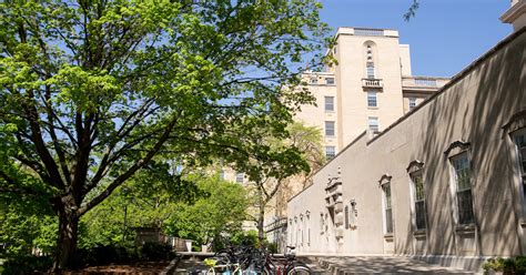 Yadev Is Awarded Hilldale Fellowship For Undergraduate Research