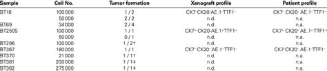 Tumor Formation Of Tumorsphere Cells From Patient Derived Brain