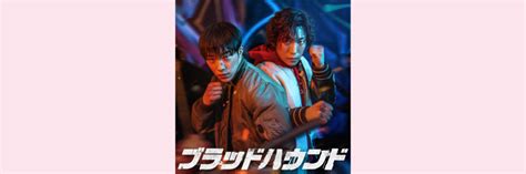 『ブラッドハウンド』吹き替え声優一覧 （ウ・ドファン主演）