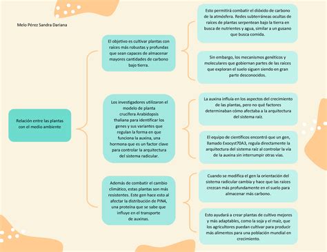Cuadro Sinoptico Del Medio Ambiente Con Relacion A Las Plantas