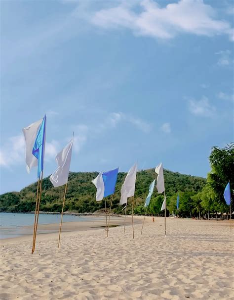ที่พักหาดทรายแก้ว โรงเรียนชุมพลทหารเรือ การค้นหาใน Lemon8