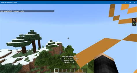 Question Chunk Loading Glitch Pmmp Forums