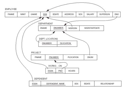 Solved DATABASE MANAGEMENT Create A Relational Model Chegg Com