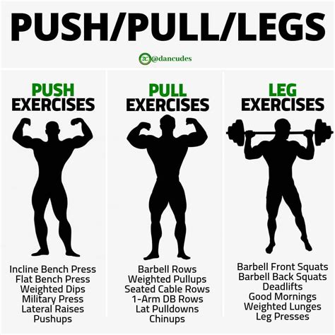 Best Push Workout For Beginners Dee Ramsay