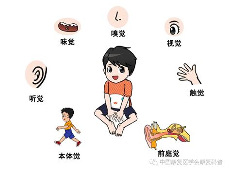 感觉统合居家训练小游戏