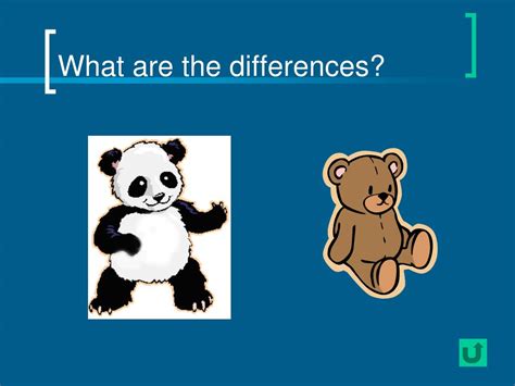 PPT - Building a Connection from Paint to Geometer’s Sketchpad PowerPoint Presentation - ID:6151915