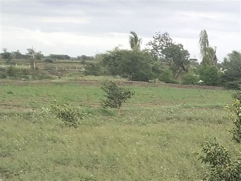 Plots For Sale Sky Developers