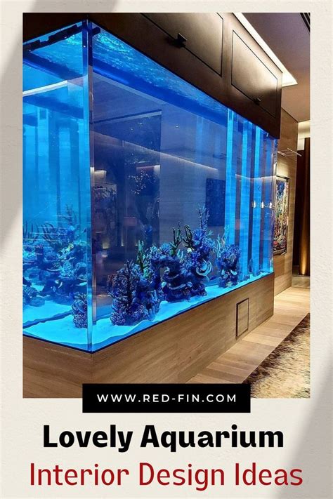 Lovely Aquarium Interior Design Ideas