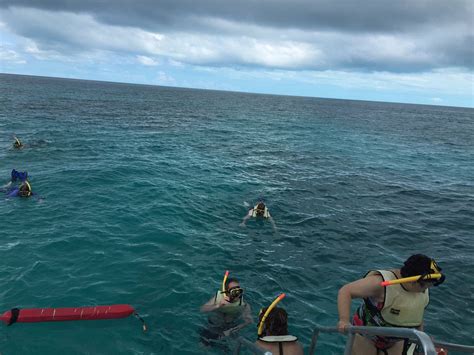 Bahamas Snorkeling Tours 2025 All You Must Know Before You Go W