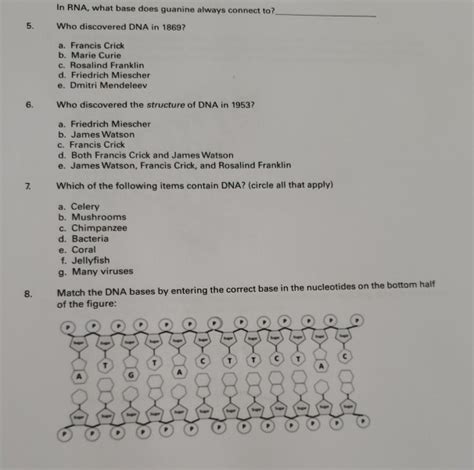 Solved In Rna What Base Does Guanine Always Connect To 5