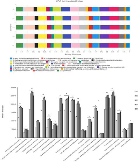 Selenium Enriched Bacillus Subtilis Yb 114246 Improved Growth And