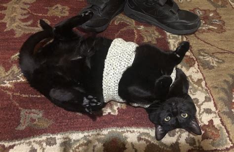 Quickie Kitty Sweater Rcrochet