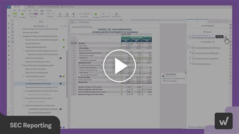 Mini Demo Workiva Software For Sec Reporting And Sec Filings Workiva