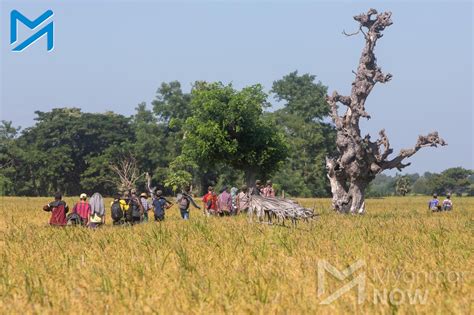 တန့်ဆည်မြို့ပေါ်ကို ရွှေဘိုခရိုင် Pdf အဖွဲ့များ ဝင်တိုက် Myanmar Now