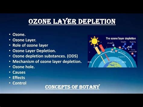 Solution Of Ozone Layer Depletion
