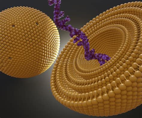 Encapsulation 3d Stock Illustrations 307 Encapsulation 3d Stock