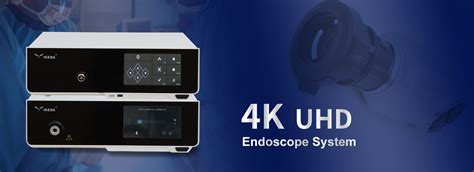 Knowledge About Vaginal Endoscope