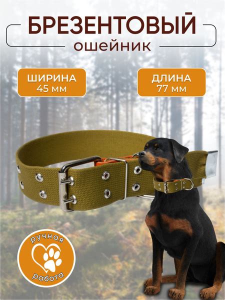 Ошейник для средних и крупных пород ( обхват шеи 48-65см)ширина 45 мм ...