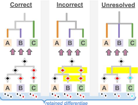 Figure 2 From A Guide To Tracking Phylogenies In Parallel And Distributed Agent Based Evolution