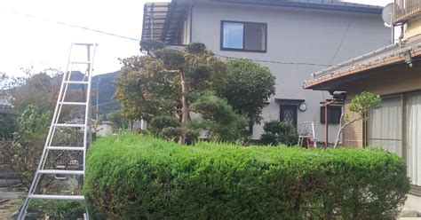 滋賀県大津市でお庭の剪定作業🌲 業務内容からお庭の豆知識まで幅広く発信します 丁寧な剪定に定評がある緑由園に大阪のお庭のお手入れはお任せ