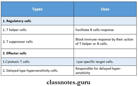 Structure And Functions Of Immune System Short Question And Answers