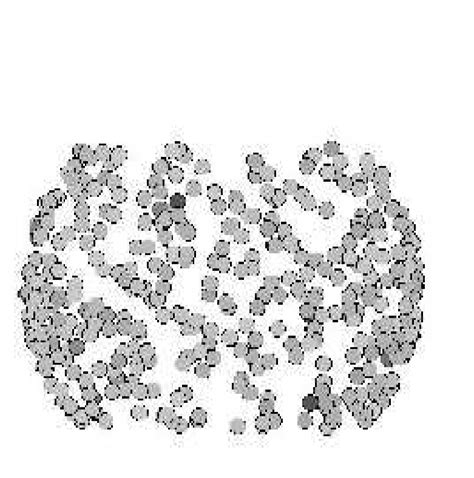 Schematic Representation Of The Disks On The Sphere Limited By Two Download Scientific Diagram