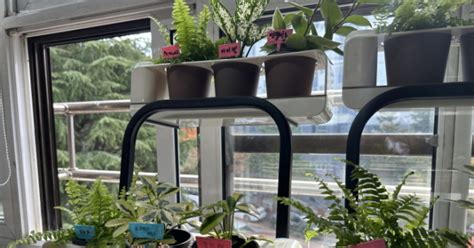 전주시농업기술센터 학교에 실내공기 정화 녹색공간 조성