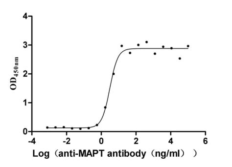Tau Recombinant Human Monoclonal Antibody 8c2 Invitrogen 100 μl