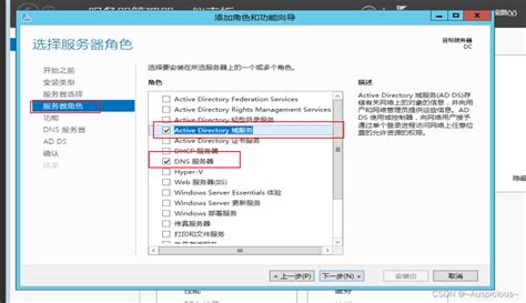 ad域控搭建 域控服务器安装并配置dns服务器 csdn博客