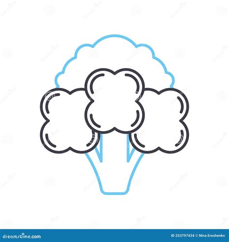 Broccoli Line Icon Outline Symbol Vector Illustration Concept Sign