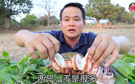 【泰国嗯哼哥】烤两只大鱿鱼配酸辣臭鱼酱 配绿化带 中文字幕 泰国清迈阿月 泰国清迈阿月 哔哩哔哩视频