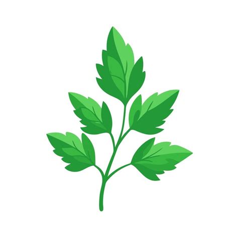 Beautiful Flat Style Leaf Herb Icon Vector Illustration Premium Ai