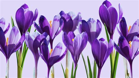 Einstein Analytics Dataflow Transformations Overview And What They Do Salesforce Ben