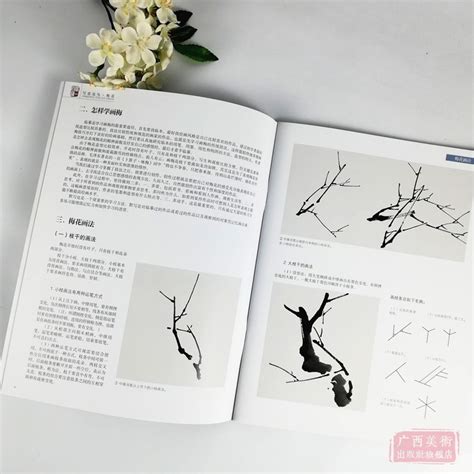 中国画基础技法丛书梅花 学一百通 写意花鸟国画入门基础教程自学起步到精通写意画花鸟册页初学者画花卉鸟禽技巧解析正版书籍 虎窝淘
