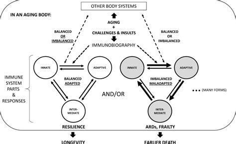 The Balance Between The Adaptive Maladaptive Patterns Of An Download Scientific Diagram