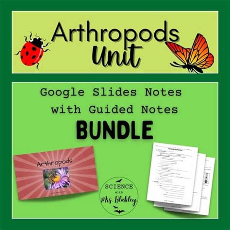Arthropods Unit Notes Bundle By Science With Mrs Blakley Tpt