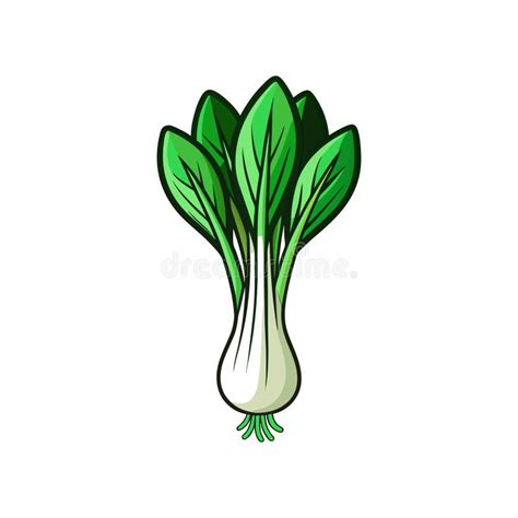 Colorful Ramsons Stock Illustrations 11 Colorful Ramsons Stock