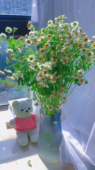 时光清浅 其他手机动态壁纸 其他手机壁纸下载 元气壁纸