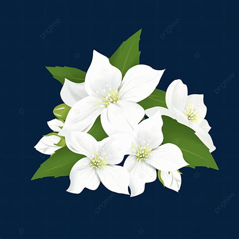 單支白色茉莉花 單 白色 茉莉素材圖案，psd和png圖片免費下載