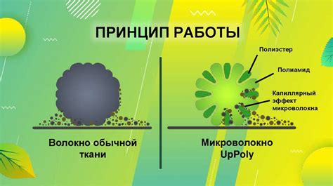 Экоуборка. Подготовка к осеннему сезону. Greenway Global - презентация ...