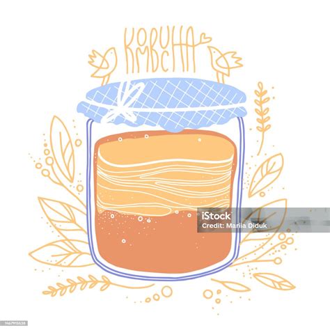 Kombucha 발효 프로 바이오 틱 수제 차 버섯 콤부차 차와 유리 항아리 건강한 곰팡이 음료 플랫 만화 스타일 손으로 그린 벡터 스케치 0명에 대한 스톡 벡터 아트 및