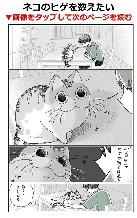 ＜画像158 327＞【ネコ漫画】大好きな飼い主を威嚇する猫愛猫との日常を描いた漫画がsnsで話題沸騰｜ウォーカープラス