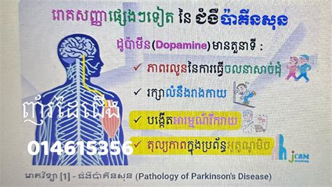 Eva ស្រឡាញ់ មនុស្ស ប្រុស ដែល គេ ខឹង អ្នក យ៉ាង ណា ក៏ មិន ស្រែក អ្នក ខឹង គេ យ៉ាង ណា ក៏ មិន ត