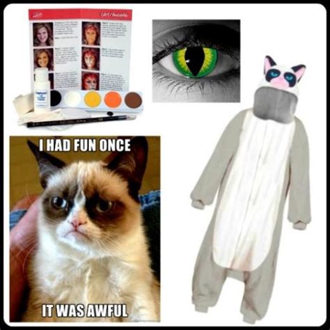 🔥 [50 ] Grumpy Cat Halloween Wallpapers Wallpapersafari