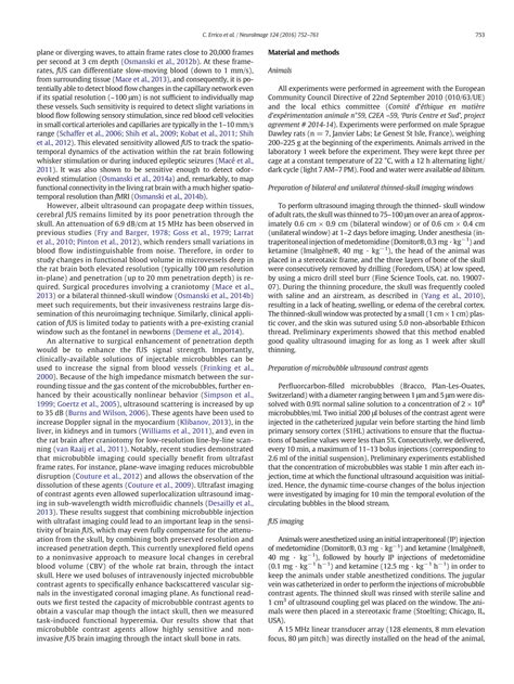 Solution Transcranial Functional Ultrasound Imaging Of The Brain Using