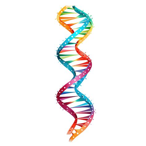Dna 분자 나선 만화 염색체 유전적인 과학 Png 일러스트 및 이미지 에 대한 무료 다운로드 Pngtree