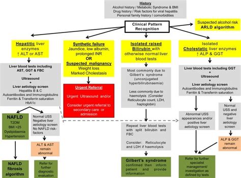 Differential Diagnosis And Workup Algorithm For Abnormal Lfts Foamed