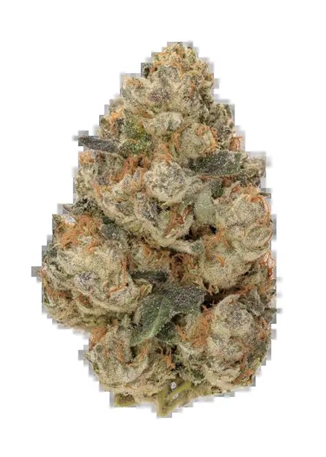 Super Boof Cannabis Strain Information Growdiaries