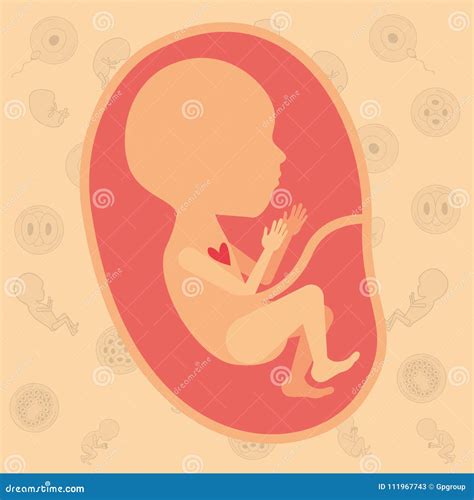 Color Background Pattern Pregnancy Icons With Fetus Human Growth In