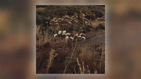 The Shaolin Afronauts Salt Flat Muscle Audio Youtube